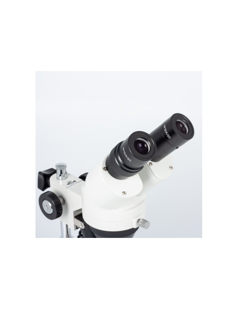 Didactic stereo microscope for mineralogy, paleontology and malacology ...